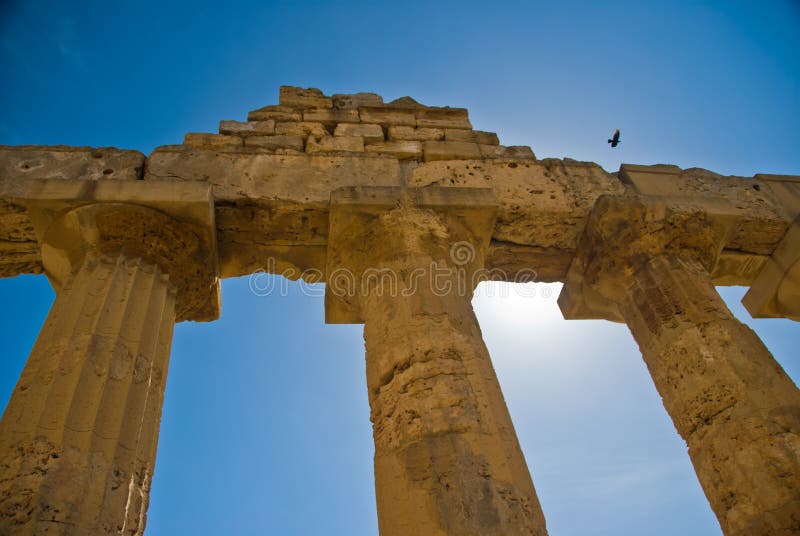 Selinunte Columns with Flying Bird Stock Photo - Image of flying ...