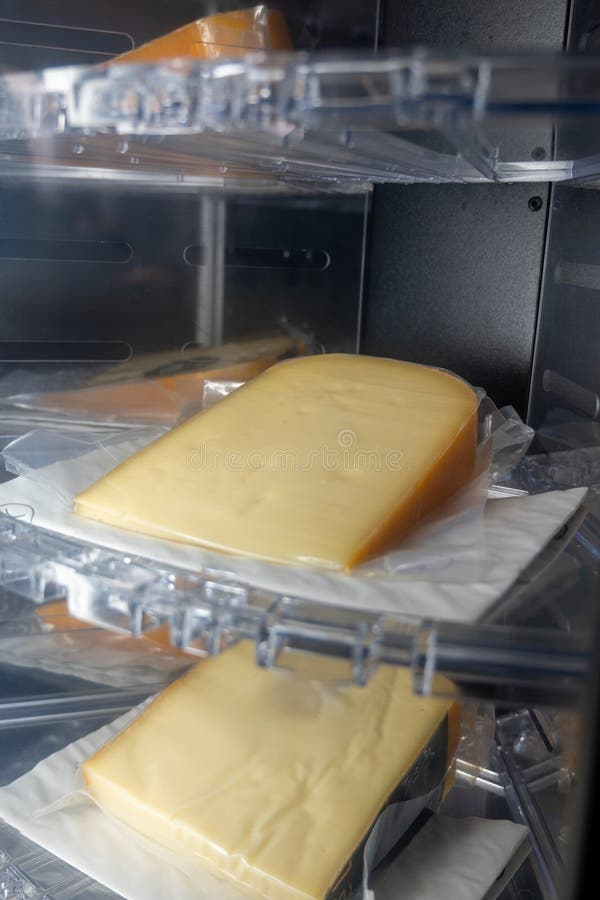 Process of Organic Cheese Making from Cow Milk on Bio Cheese Farm in ...