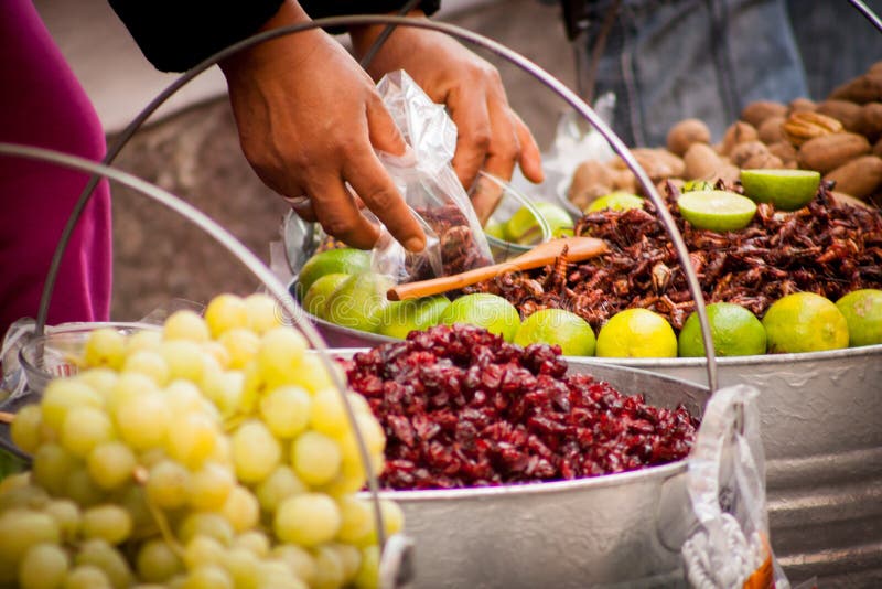 Fried Insects Tacos, Mexican Cuisine Stock Image - Image of kitchen ...
