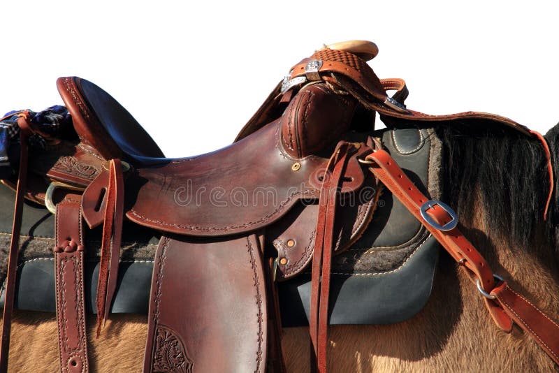 Selle sur le cheval photo stock. Image du rodeo, ferme - 15080608