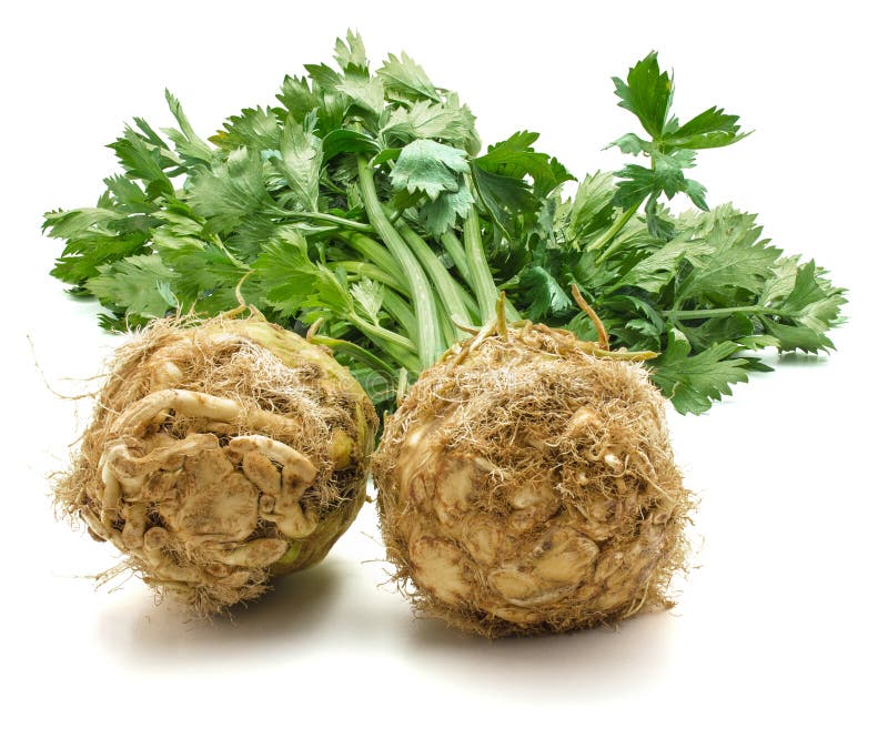Selleri arkivfoto. Bild av rota, celeriak, enkelt, homogen - 102743340