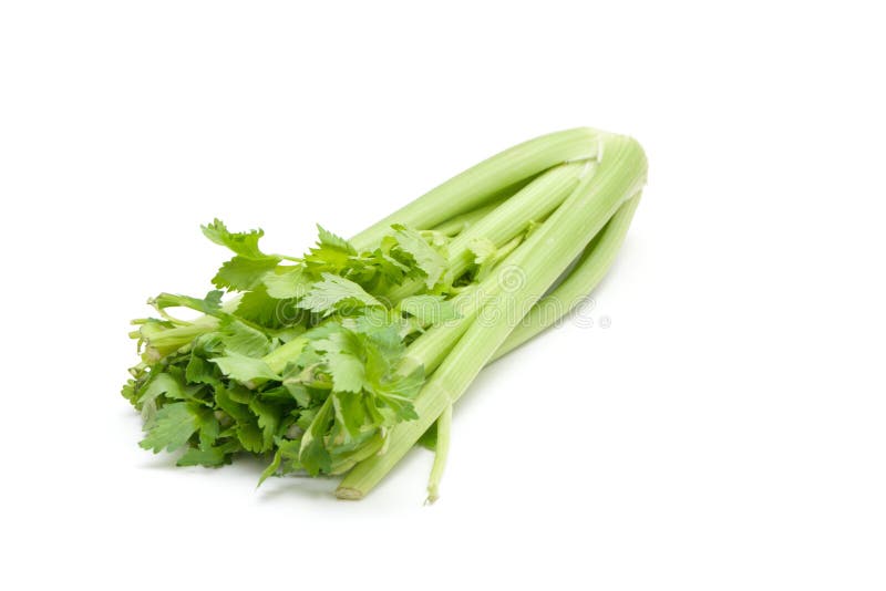 Selleri fotografering för bildbyråer. Bild av äta, kniv - 114978077