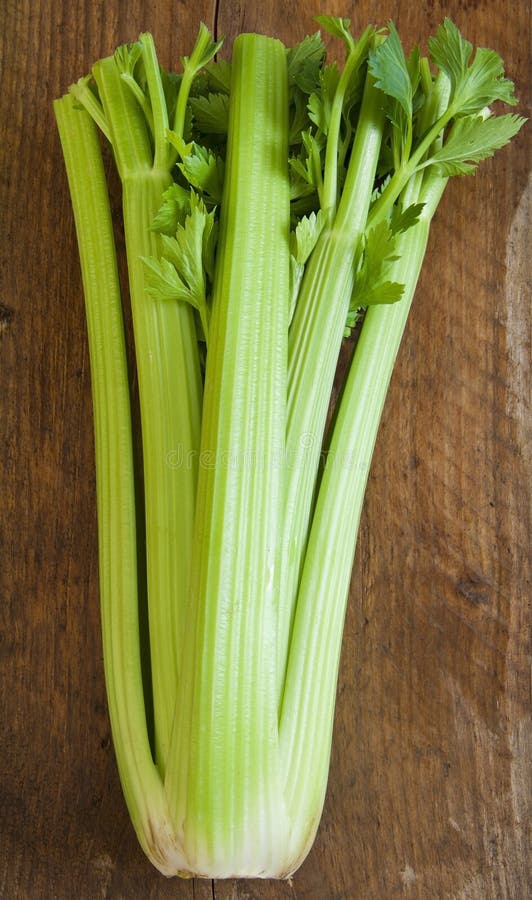 Selleri fotografering för bildbyråer. Bild av stamma - 19099669