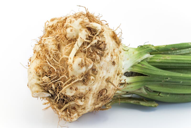 Selleri fotografering för bildbyråer. Bild av vegetarisk - 57138823