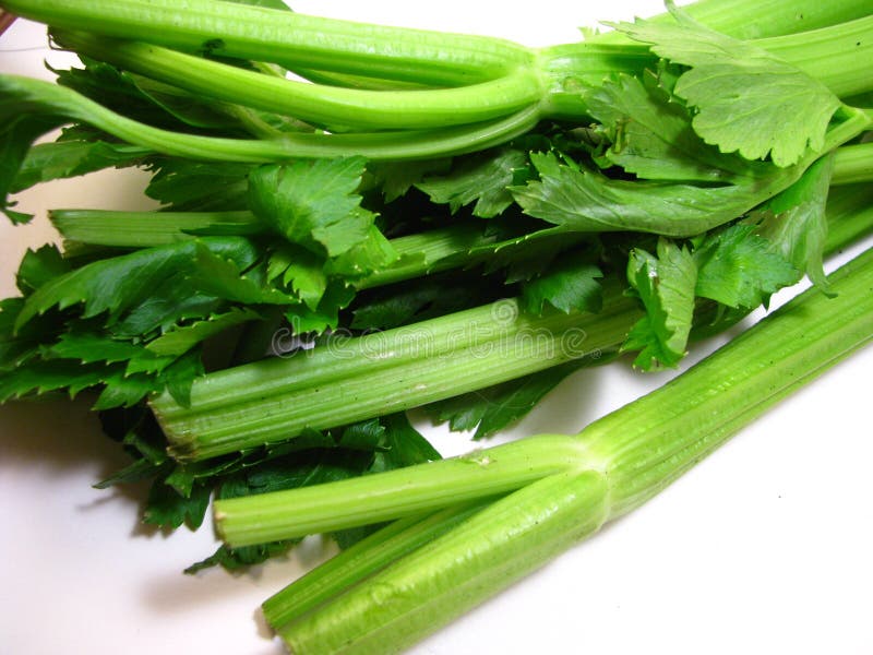 Selleri fotografering för bildbyråer. Bild av matlagning - 6715429