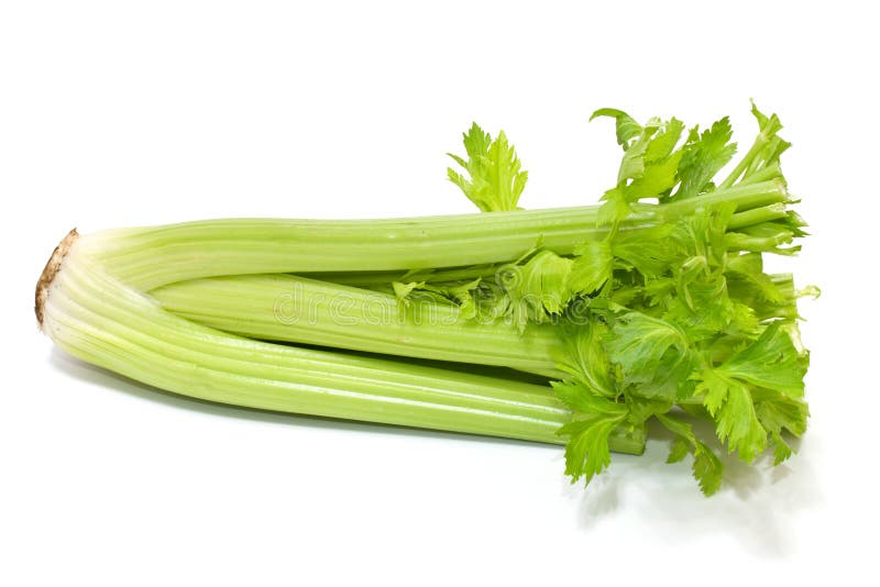 Sellerie stockfoto. Bild von bauernhof, vorbereitung - 23560120