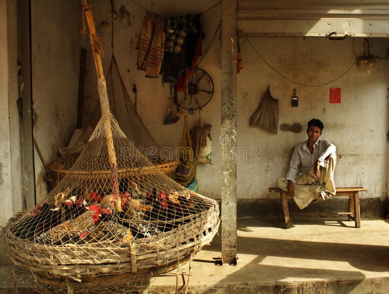Selling chicken editorial image. Image of seller, people - 5039135