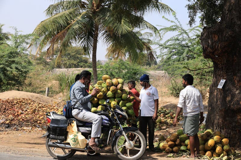 Impromptu Coconut Stock Photos - Free & Royalty-Free Stock Photos from ...