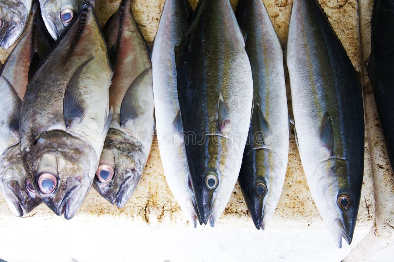 Selling Fish stock image. Image of foodie, fishermen - 52351313