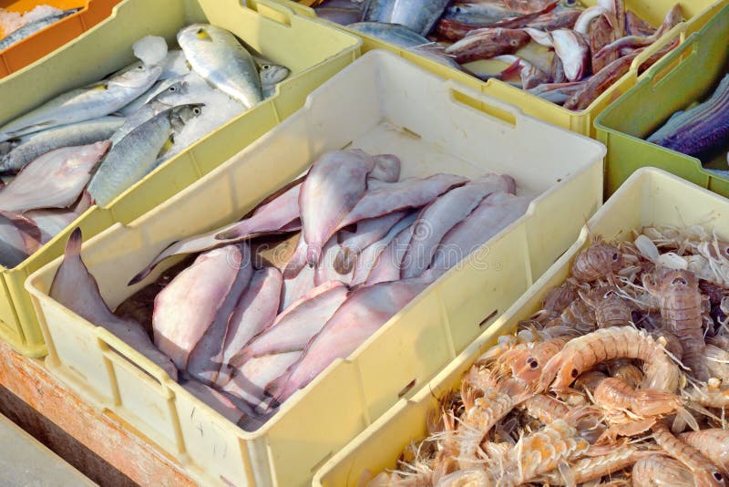 Selling Fish at a Fish Market Stock Image - Image of diet, cuisine ...