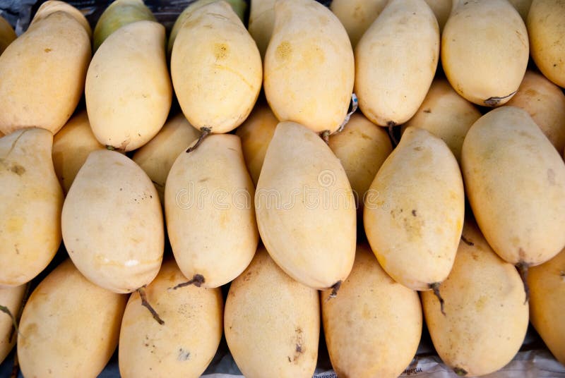 Selling mango in market stock image. Image of retail - 24389725