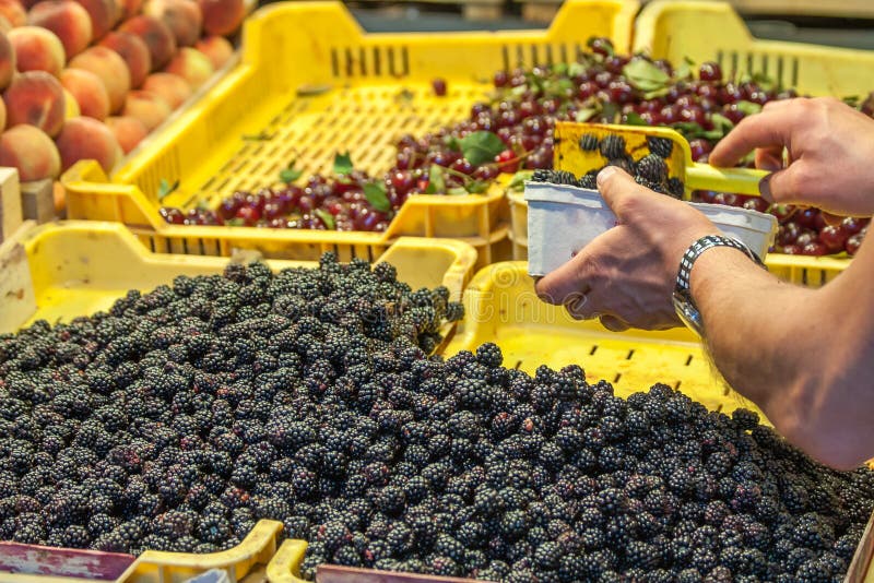 Selling Raspberry in a Fruit Stand Stock Image - Image of shine ...