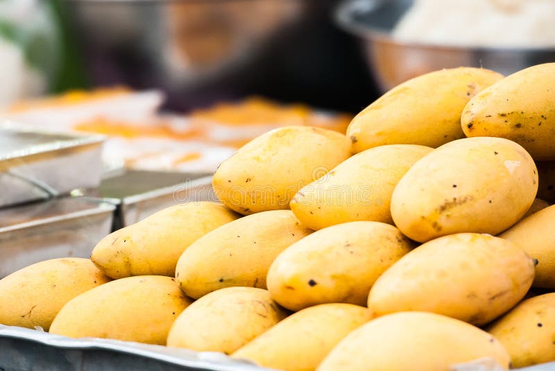 Selling Yellow Mango in Market, Thailand Stock Photo - Image of exotic ...