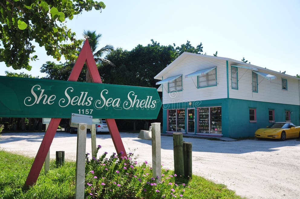 She sells sea shells stock photo. Image of beach, seashore - 29603072