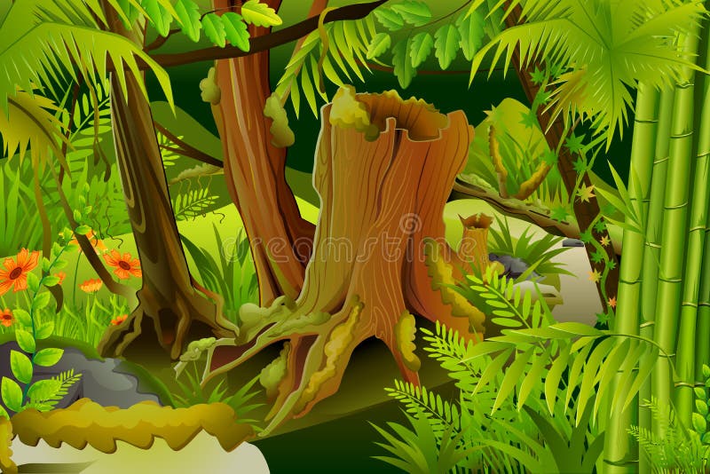 Animales De La Selva Fijados Ilustración del Vector - Ilustración de ...