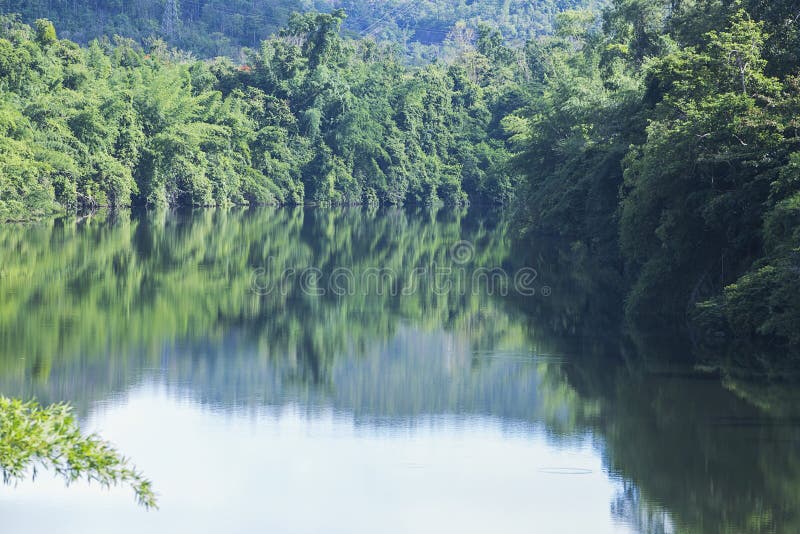 Selva reflejada en un lago foto de archivo. Imagen de turismo - 94395068