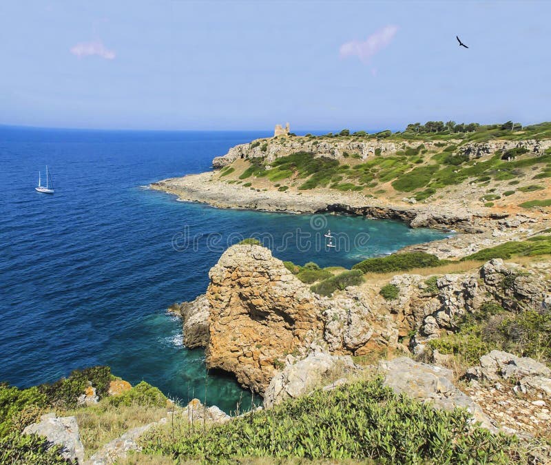 Selvaggio de Lecce Porto image stock éditorial. Image du été - 56037984