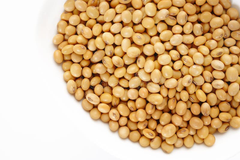 Seme della soia fotografia stock. Immagine di nutrizione - 45679594