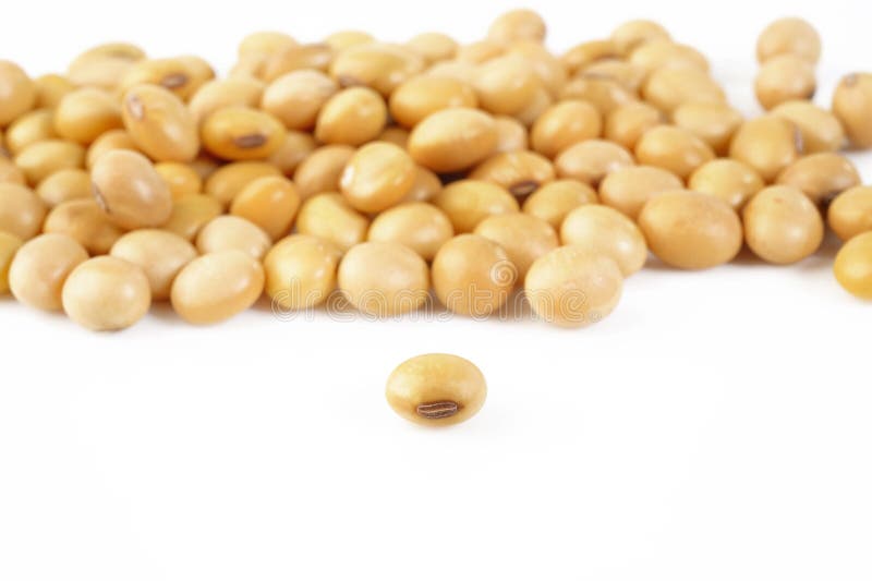 Seme della soia fotografia stock. Immagine di nutrizione - 45679594