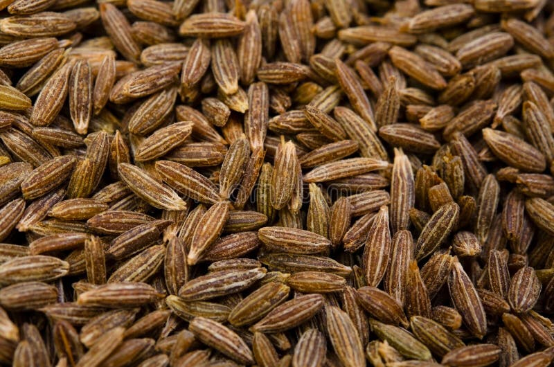 Semi di cumino fotografia stock. Immagine di alimento - 25179786