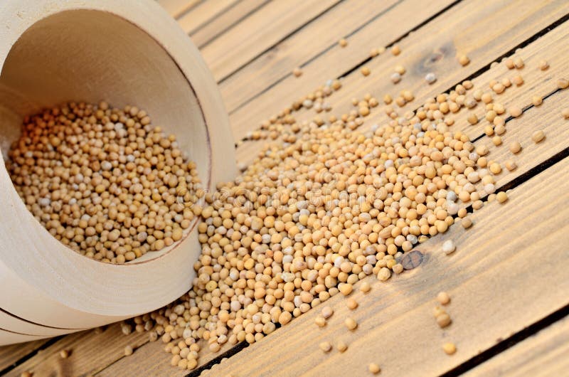 Seme Di Senape Sulla Tavola Immagine Stock - Immagine di cucina ...