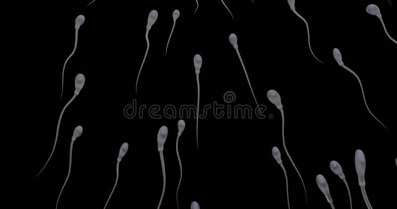 Semen Swimming Towards Egg In The Womb Stock Footage Video Of Orgasm Inside 194561154