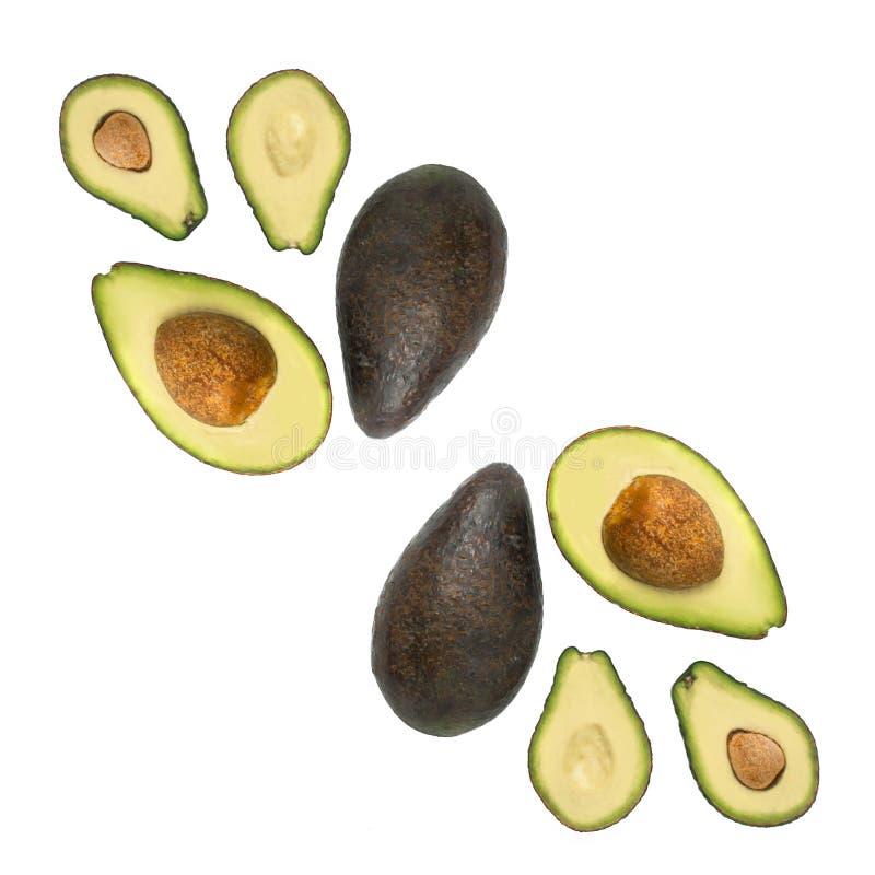 Semente Ajustada Do Dobro Do Abacate Isolada No Fundo Branco Imagem de Stock - Imagem: 117629591