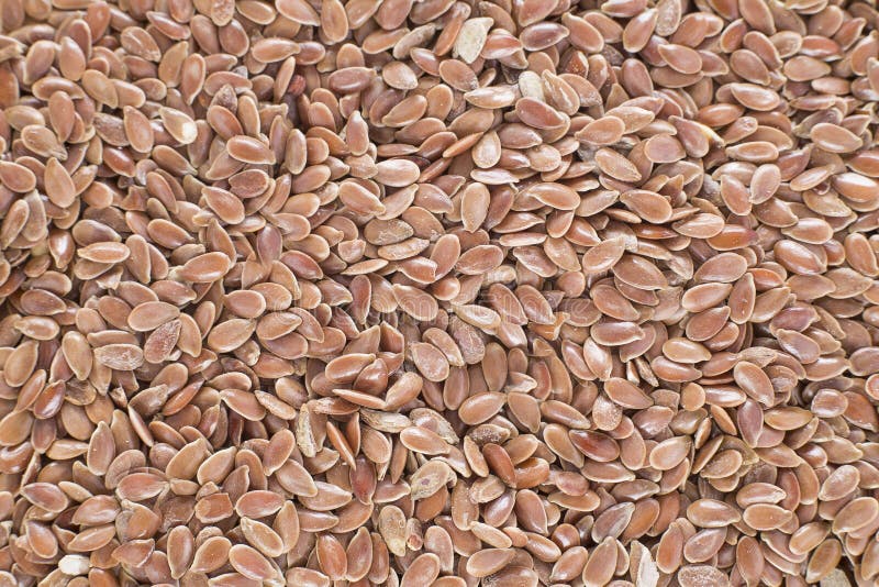Semente De Linho - Usitatissimum De Linum Foto de Stock - Imagem de ...