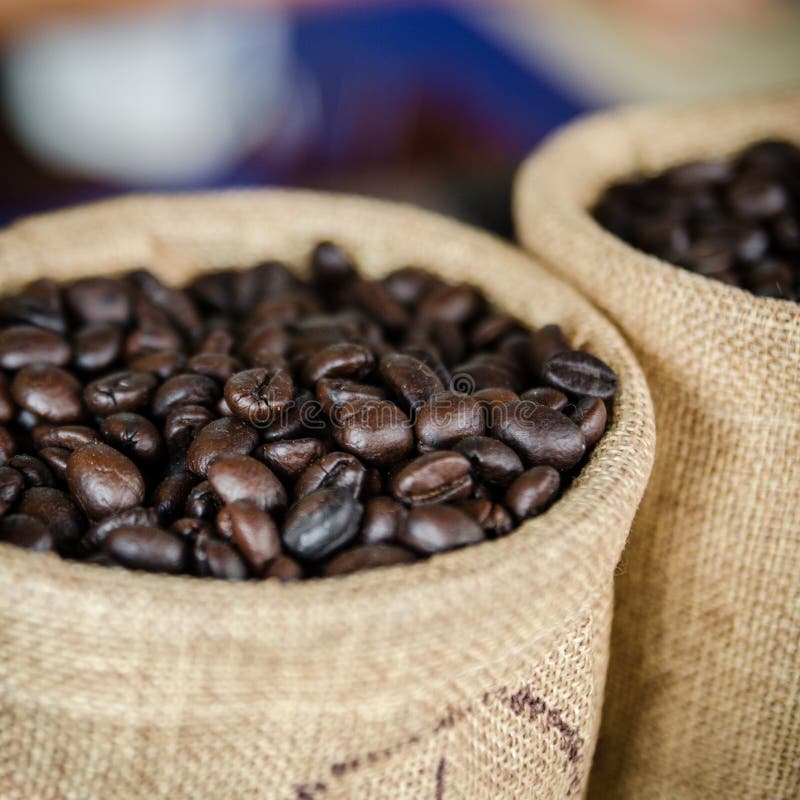 Semente do café foto de stock. Imagem de roast, escuro - 2413462