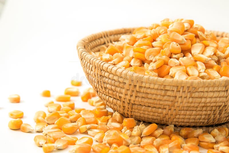 Semente Do Milho No Prato De Madeira Isolado Foto de Stock - Imagem de ...