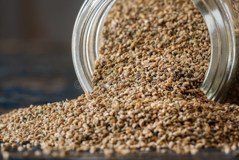 Sementes de aipo foto de stock. Imagem de alimento, secado - 85520280