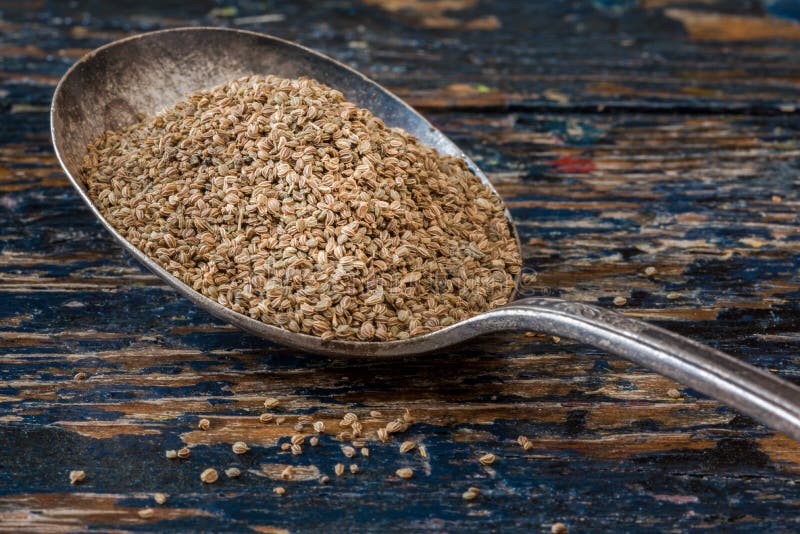 Sementes de aipo foto de stock. Imagem de alimento, secado - 85520280