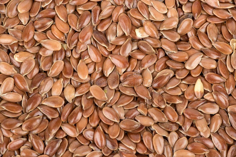 Sementes de linho foto de stock. Imagem de sementes - 108114346