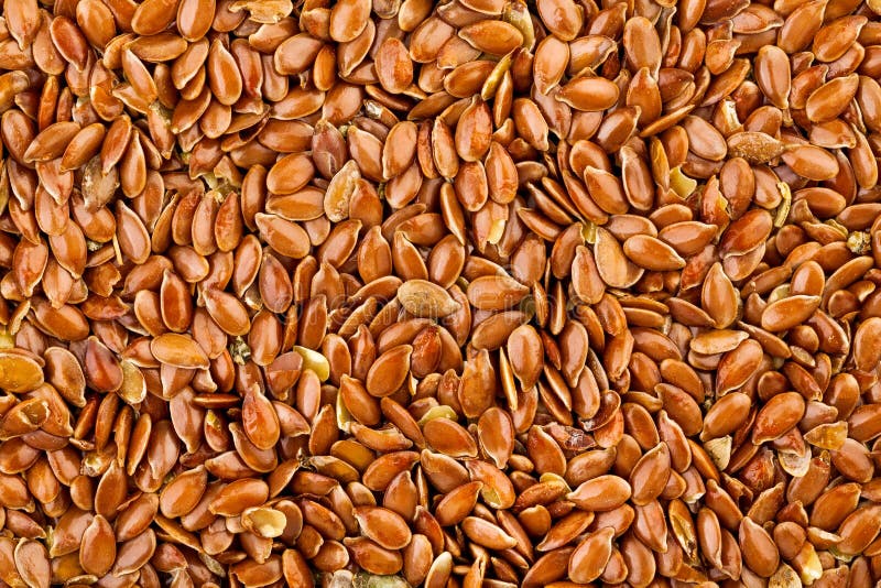 Sementes de linho imagem de stock. Imagem de semente - 88660619