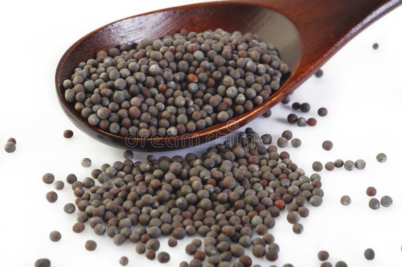 Sementes De Mostarda De Brown, Ch? De Semente De Mostarda E Sementes De ...