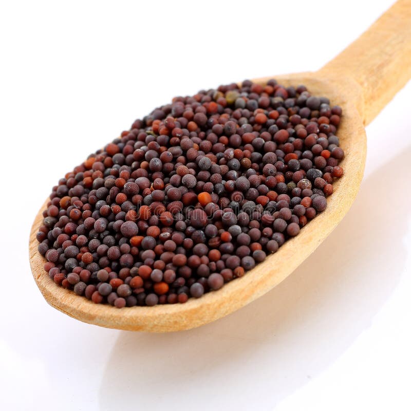 Sementes De Mostarda Preta Na Placa Imagem de Stock - Imagem de ninguém ...