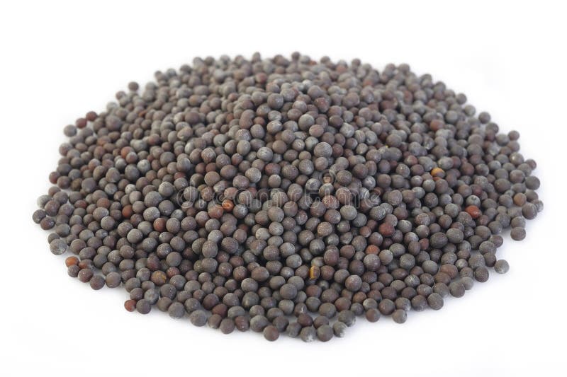 Sementes De Mostarda Preta No Branco Foto de Stock - Imagem de cozinhar ...