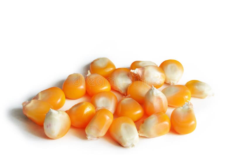 Sementes do milho isoladas foto de stock. Imagem de pilha - 58353224
