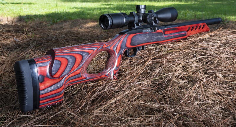 Semi Automatic Rimfire Rifle on a Forest Edge Stock Photo - Image of ...