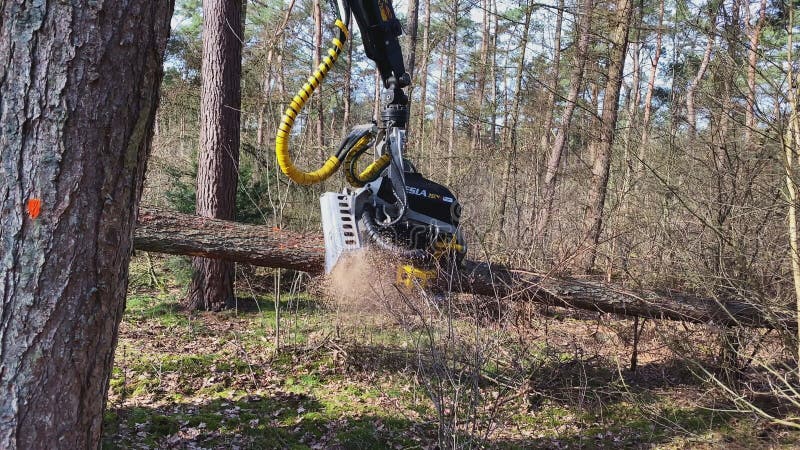 Semi Automatic Tree Saw with Hydraulic Arm and Integrated Chain Saw ...