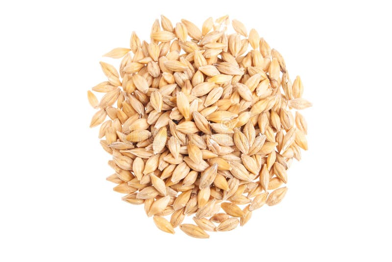Mucchio Dei Semi Dell'orzo Isolati Su Bianco Fotografia Stock ...