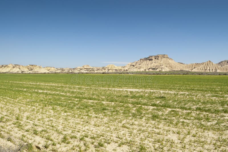 Semi-desert landscape stock photo. Image of agriculture - 27571726