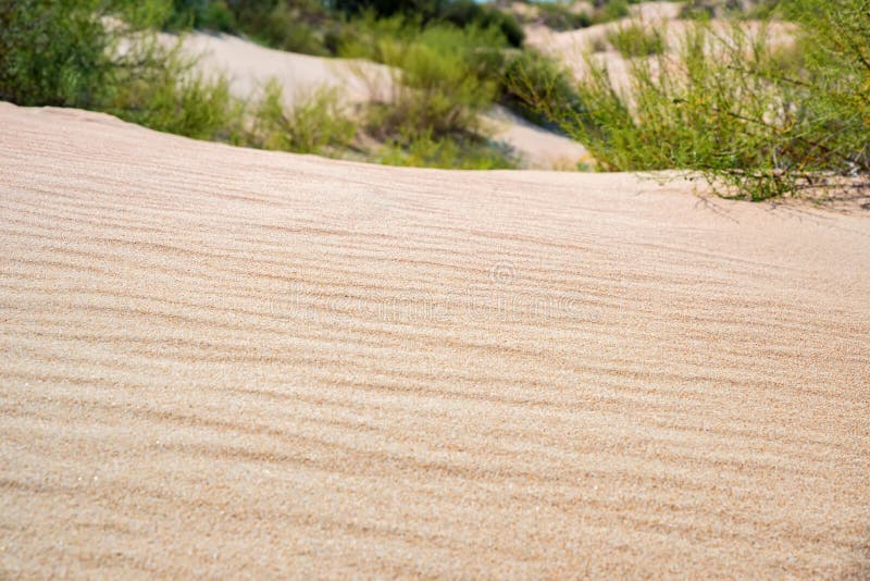 Semi-desert Sand and Vegetation Close Up Image Stock Photo - Image of ...