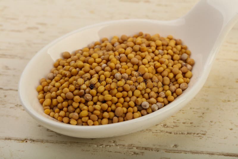 Semi di senape immagine stock. Immagine di senape, mucchio - 44082779