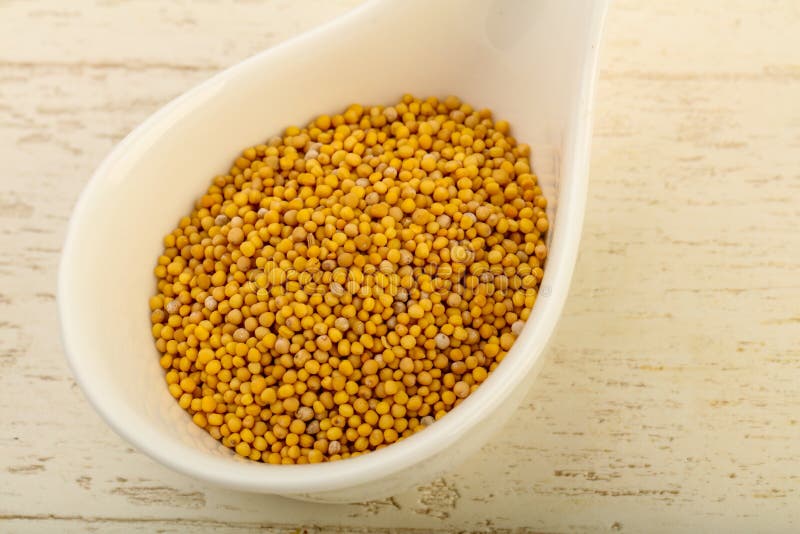 Semi di senape immagine stock. Immagine di senape, mucchio - 44082779