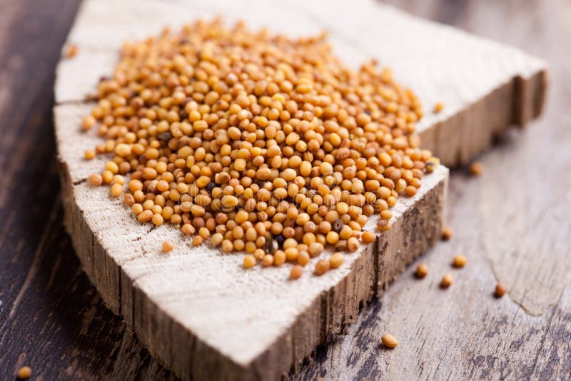 Semi di senape immagine stock. Immagine di macro, spezia - 16333295