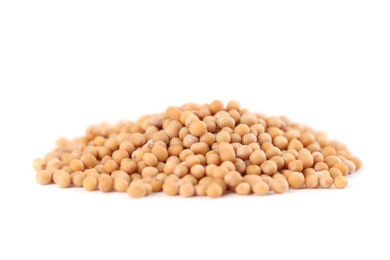 Semi di senape immagine stock. Immagine di macro, spezia - 16333295