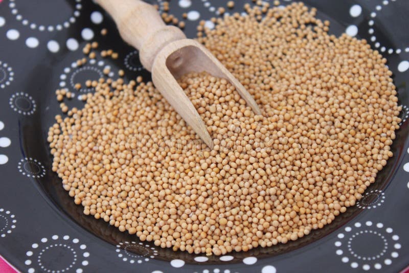Semi di senape immagine stock. Immagine di cereale, secco - 37187167