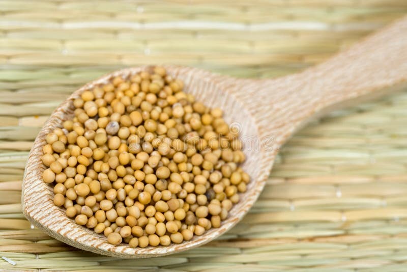 Seme Di Senape Giallo Nel Campo Fotografia Stock - Immagine di ...