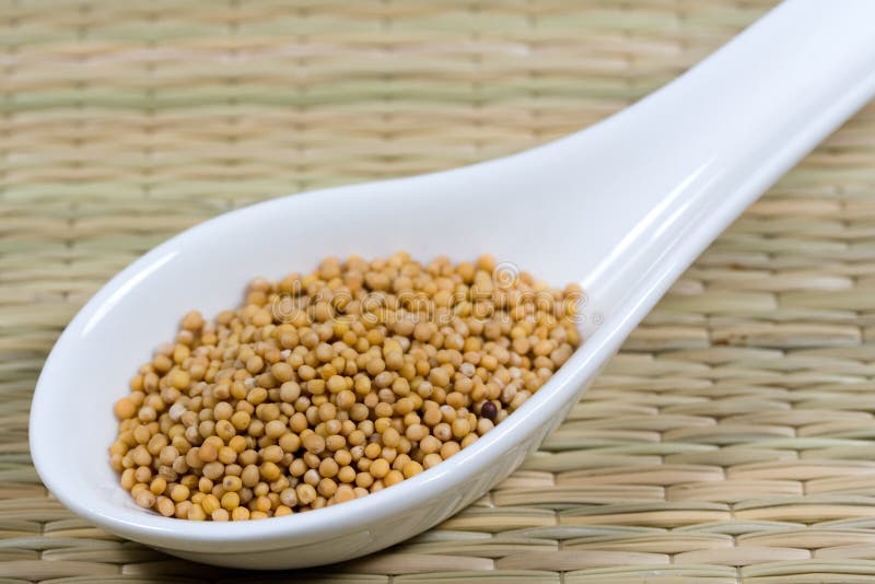 Semi di senape immagine stock. Immagine di macro, spezia - 16333295